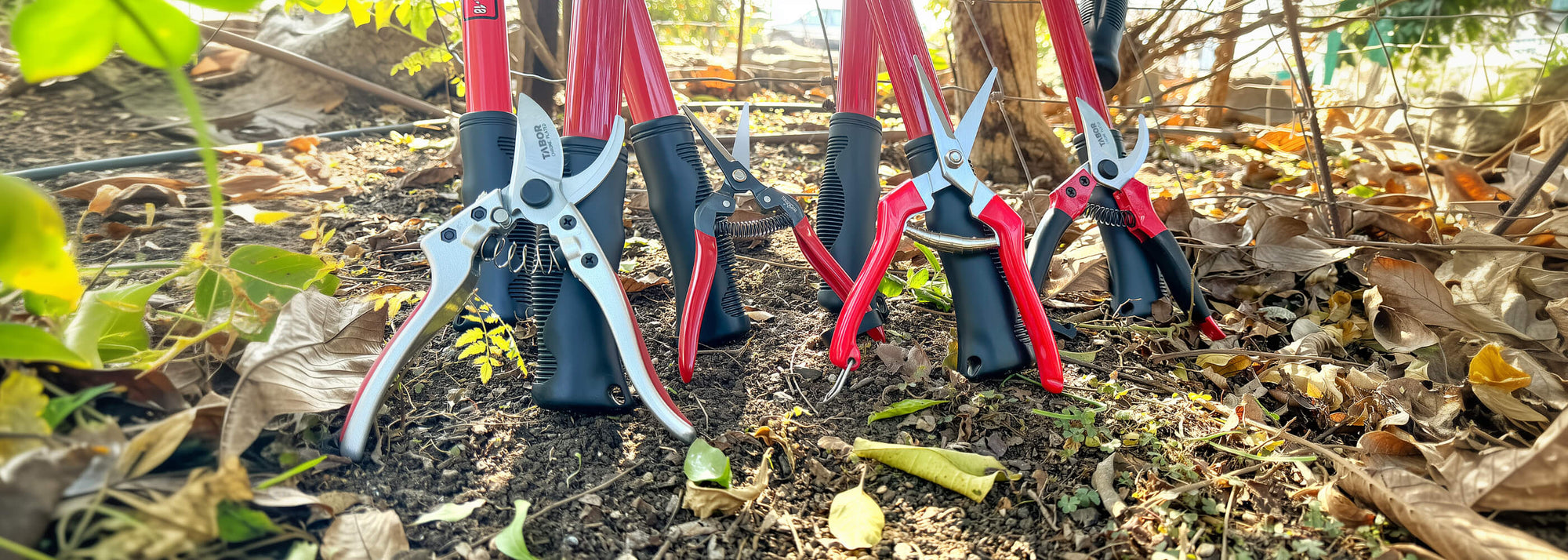 TABOR TOOLS